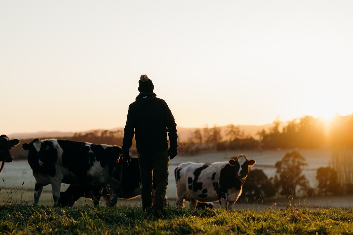 Ashgrove Cheese | Licensee Program